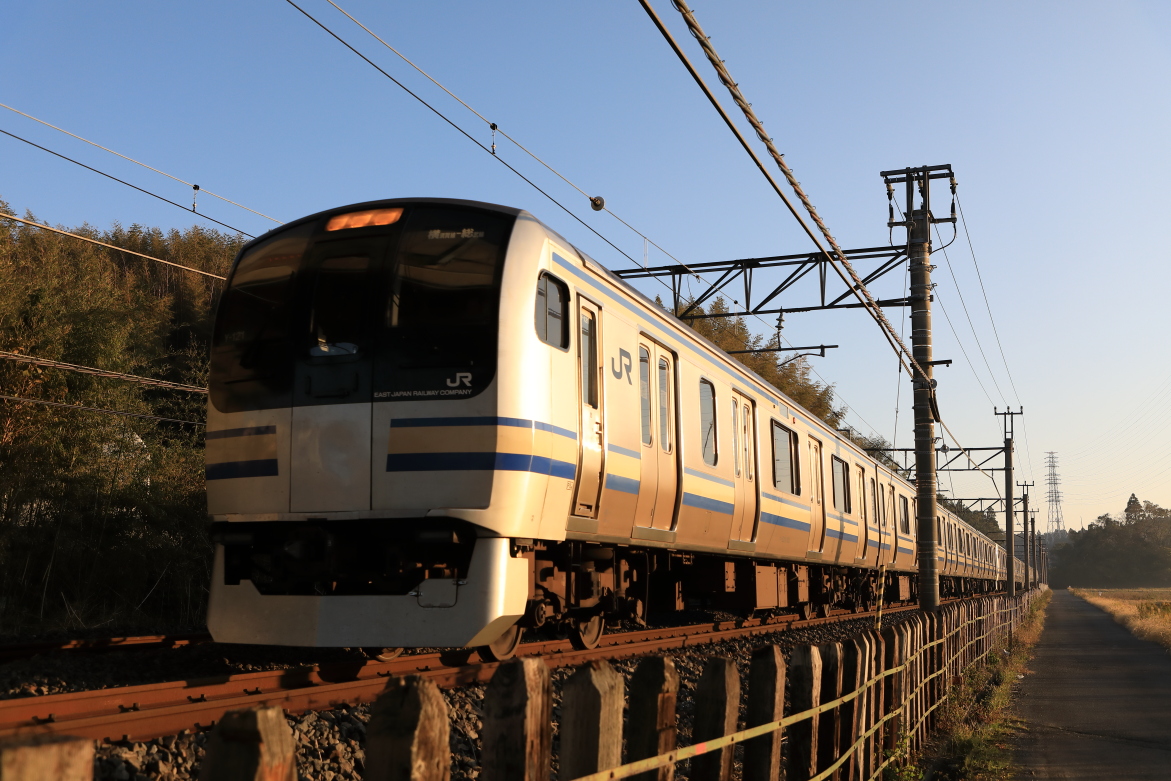 E217系、朝日に輝く（2）・RAILRAILRAIL・鉄道写真 | RAILRAILRAIL 毎日鉄道写真とともに！