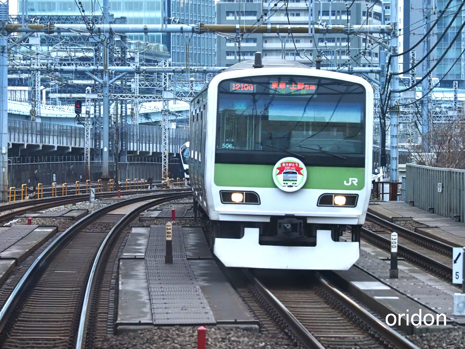 山手のE231系×サフィールE261系・RAILRAILRAIL・鉄道写真 | RAILRAILRAIL 毎日鉄道写真とともに！