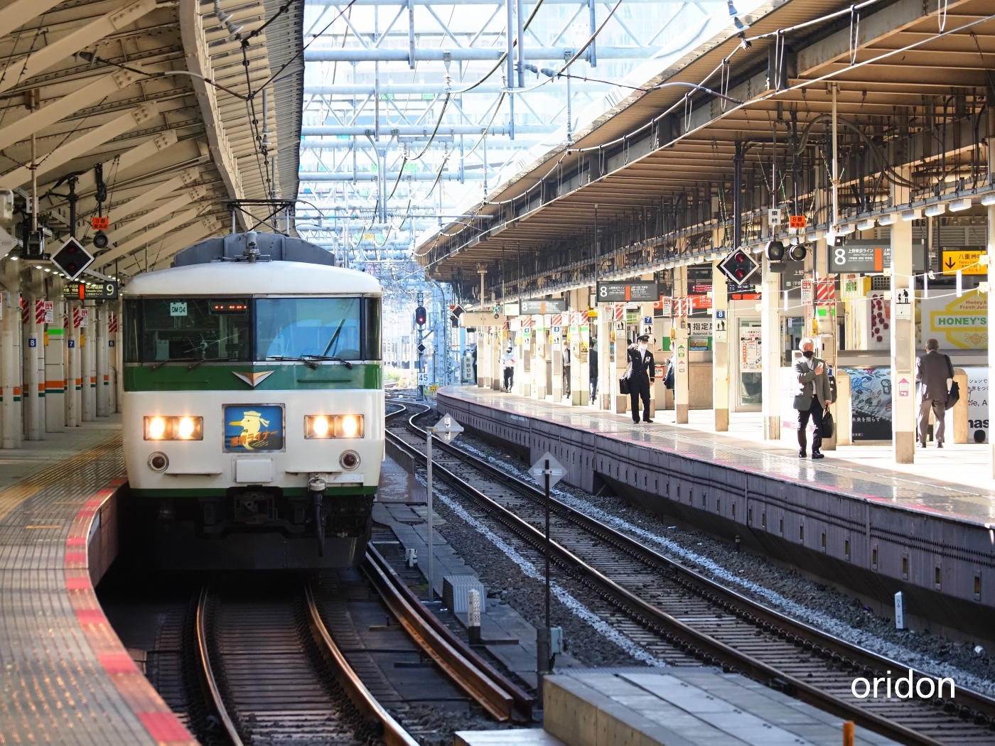 185系湘南ライナー東京到着 | RAILRAILRAIL 毎日鉄道写真とともに！