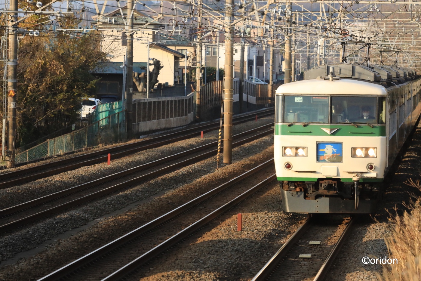 貨物線をいく185系おはようライナーと湘南ライナー | RAILRAILRAIL 毎日鉄道写真とともに！