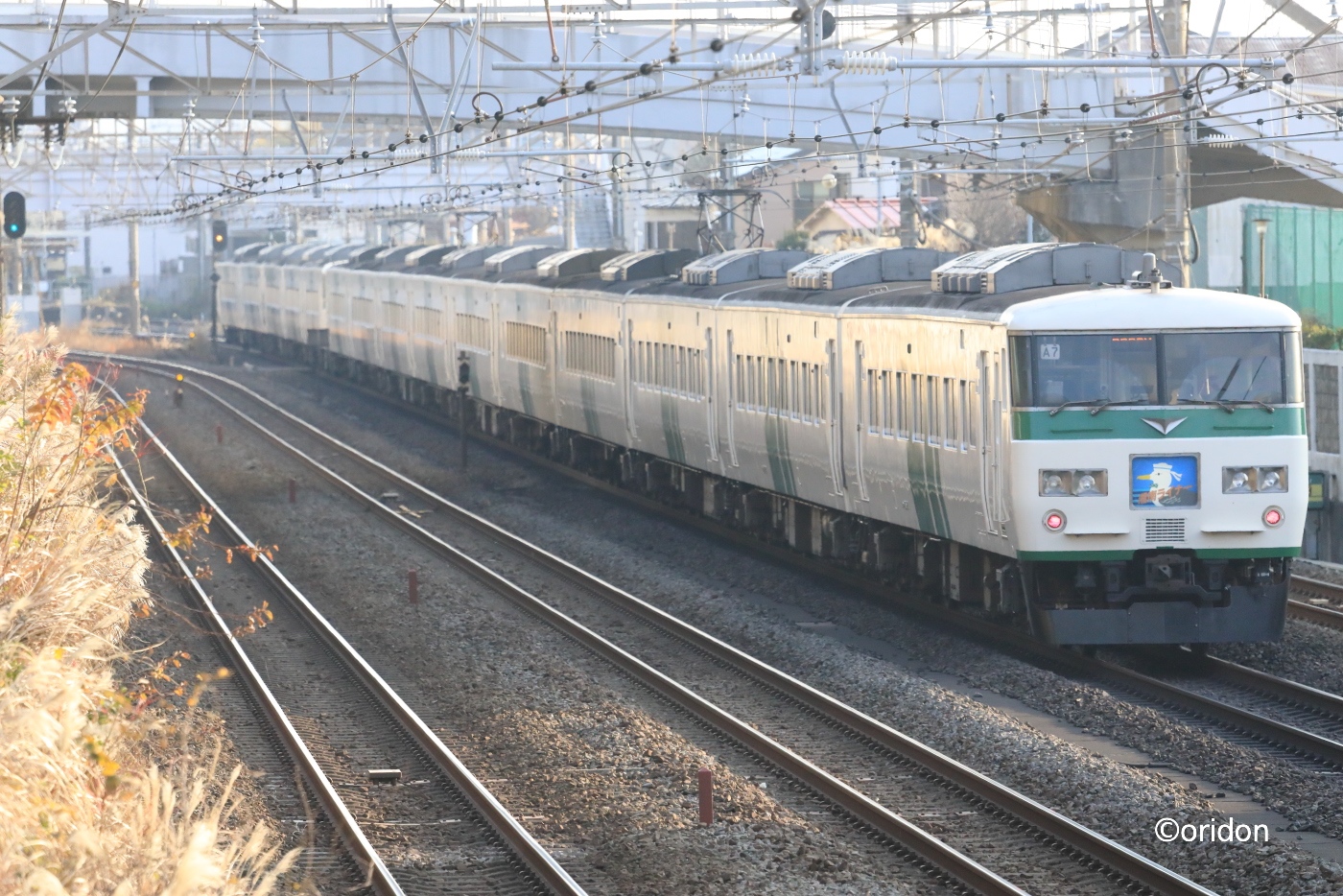 185系湘南ライナー、15連の勇姿を超望遠で撮る | RAILRAILRAIL 毎日鉄道写真とともに！
