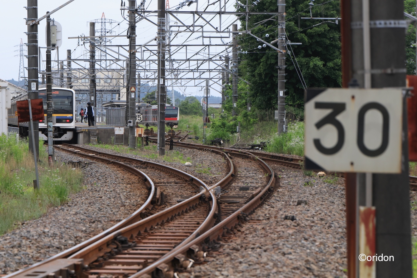 E233系、東金線経由で東京を目指す4両編成快速 | RAILRAILRAIL 毎日鉄道写真とともに！