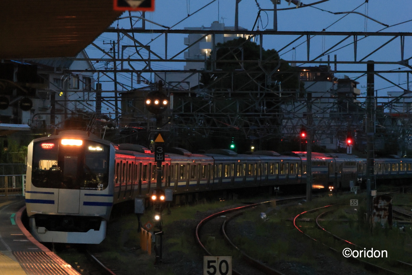 E217系とE259系、夜の成田駅は役者揃い | RAILRAILRAIL 毎日鉄道写真とともに！