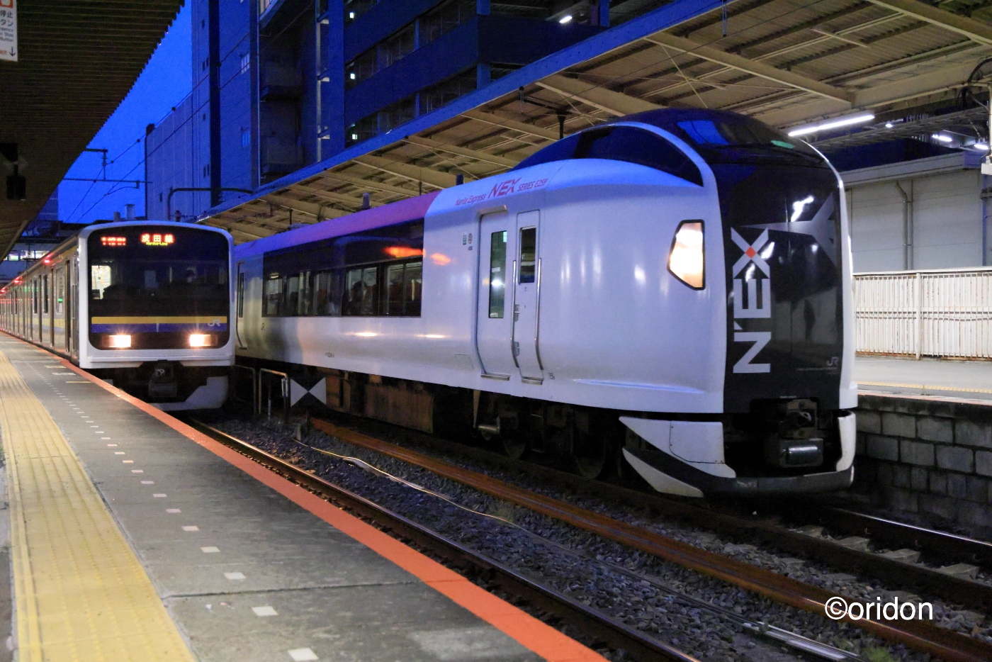 E217系とE259系、夜の成田駅は役者揃い | RAILRAILRAIL 毎日鉄道写真とともに！