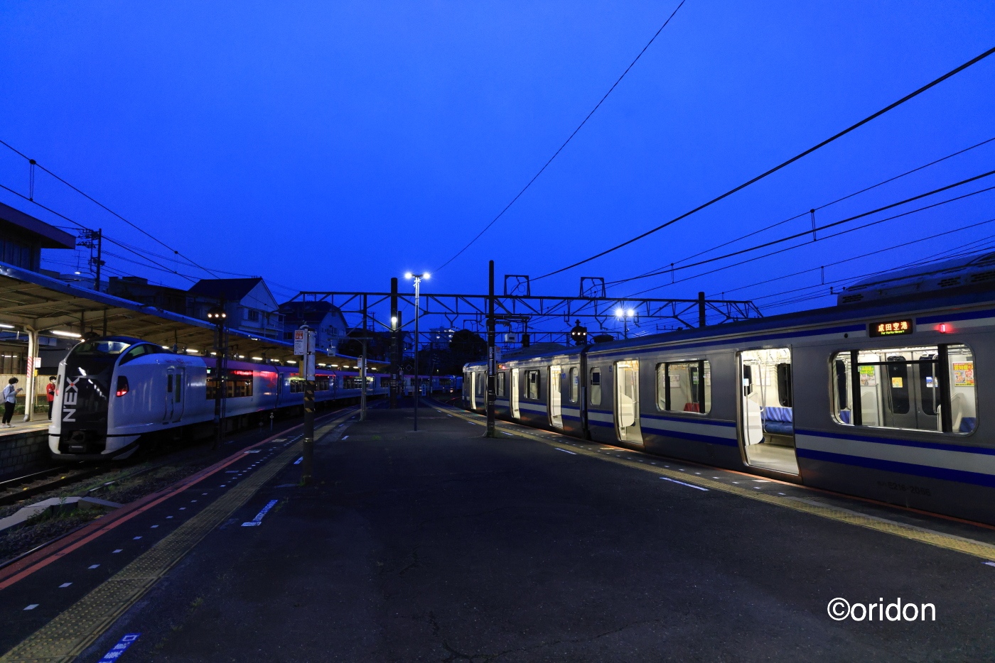 E217系とE259系、夜の成田駅は役者揃い | RAILRAILRAIL 毎日鉄道写真とともに！