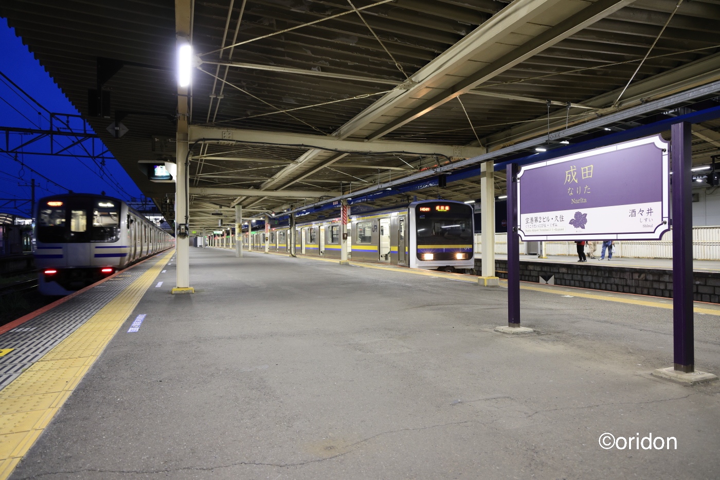 E217系とE259系、夜の成田駅は役者揃い | RAILRAILRAIL 毎日鉄道写真とともに！