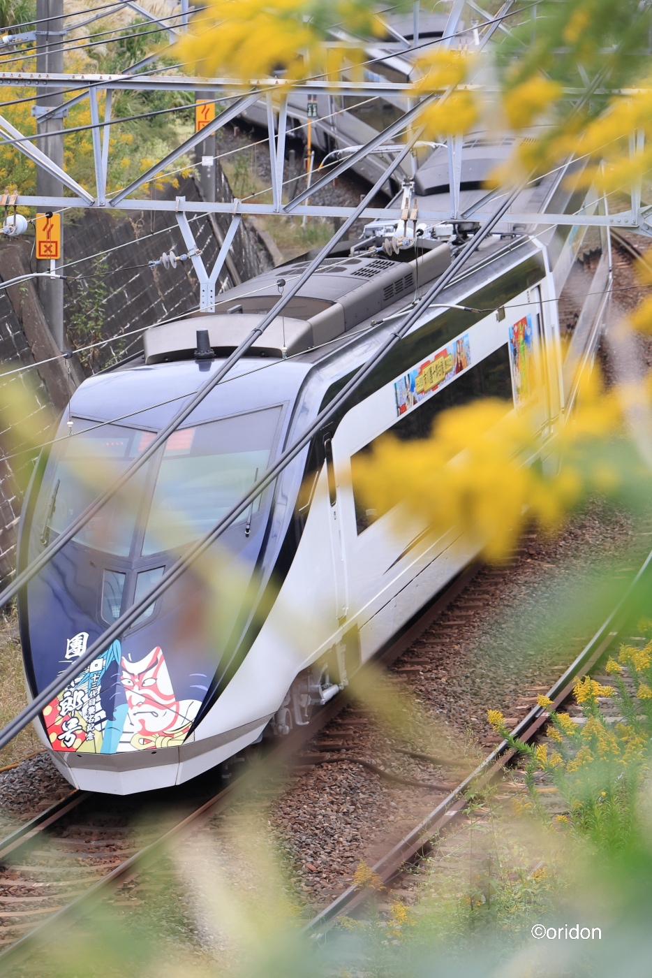 隈取り鮮やか、AE團十郎号たまたま撮れました | RAILRAILRAIL 毎日鉄道写真とともに！
