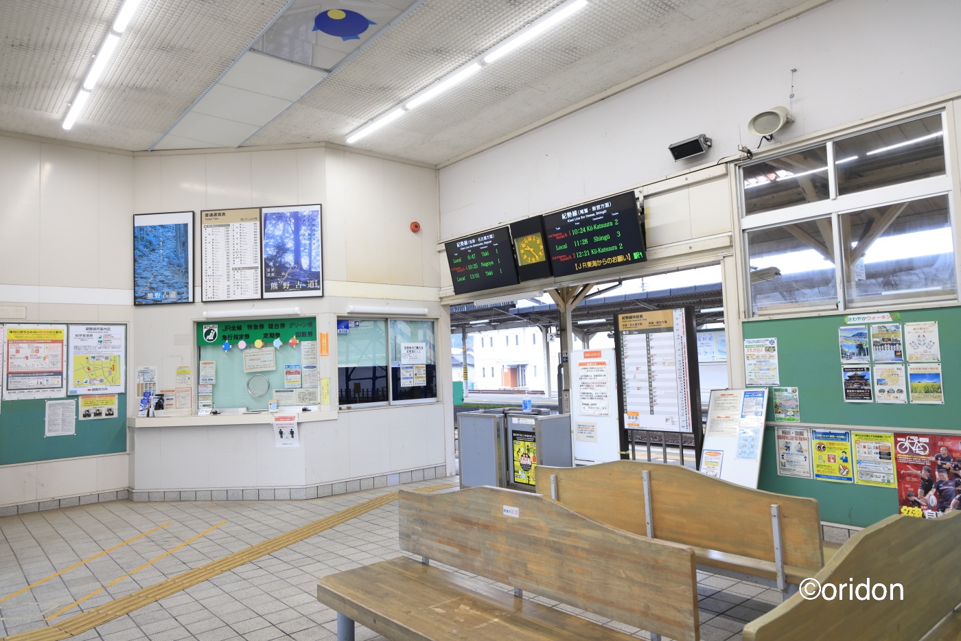 キハ85南紀、木立のスキマから | RAILRAILRAIL 毎日鉄道写真とともに！